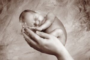 De ontwikkeling van je baby in het eerste jaar.